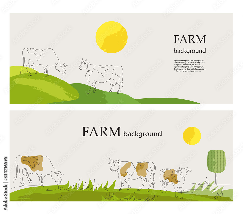 Horizontal backgrounds. Cows in the pasture. Cows are drawn in one line ...