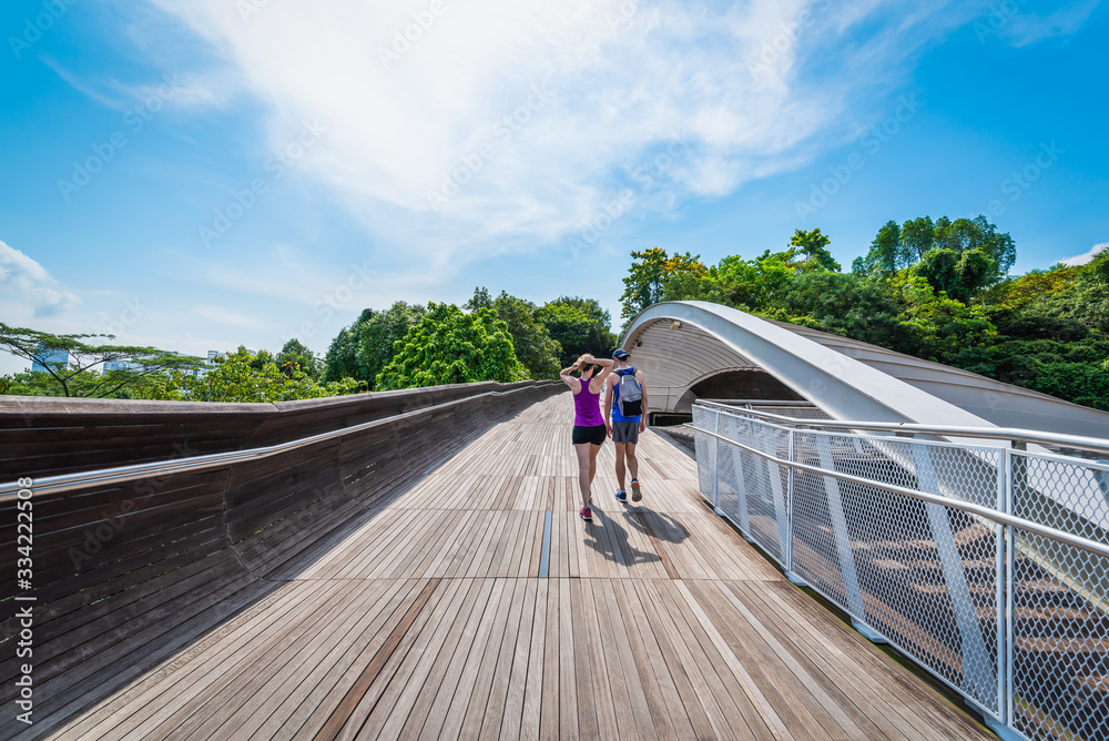 Henderson Waves bridge in natural forest, the highest public pedestrian ...