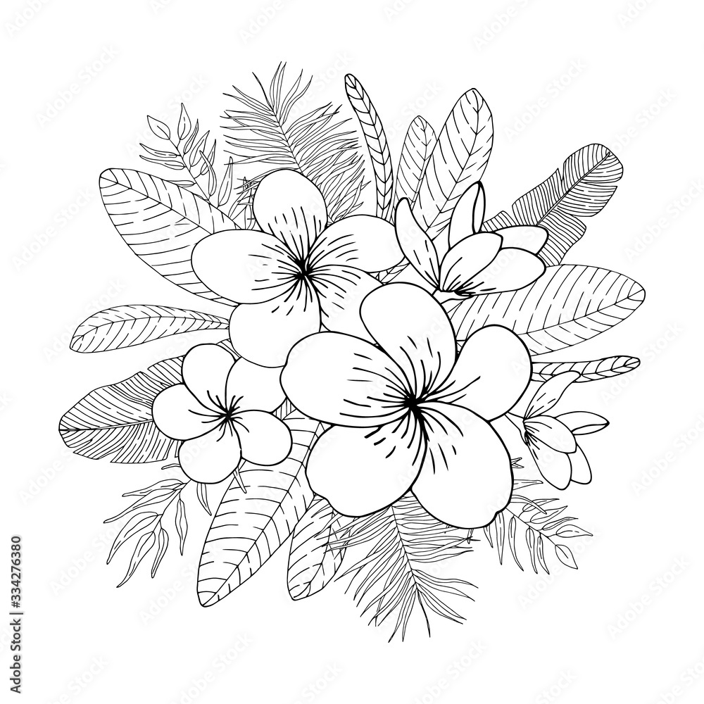 Tropical Flowers Line Drawing | Best Flower Site