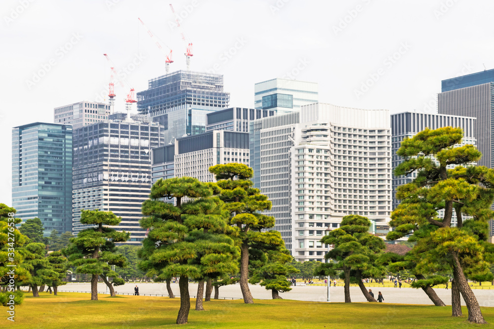 Nature or urban background with view of park in Tokyo, Japan, with ...