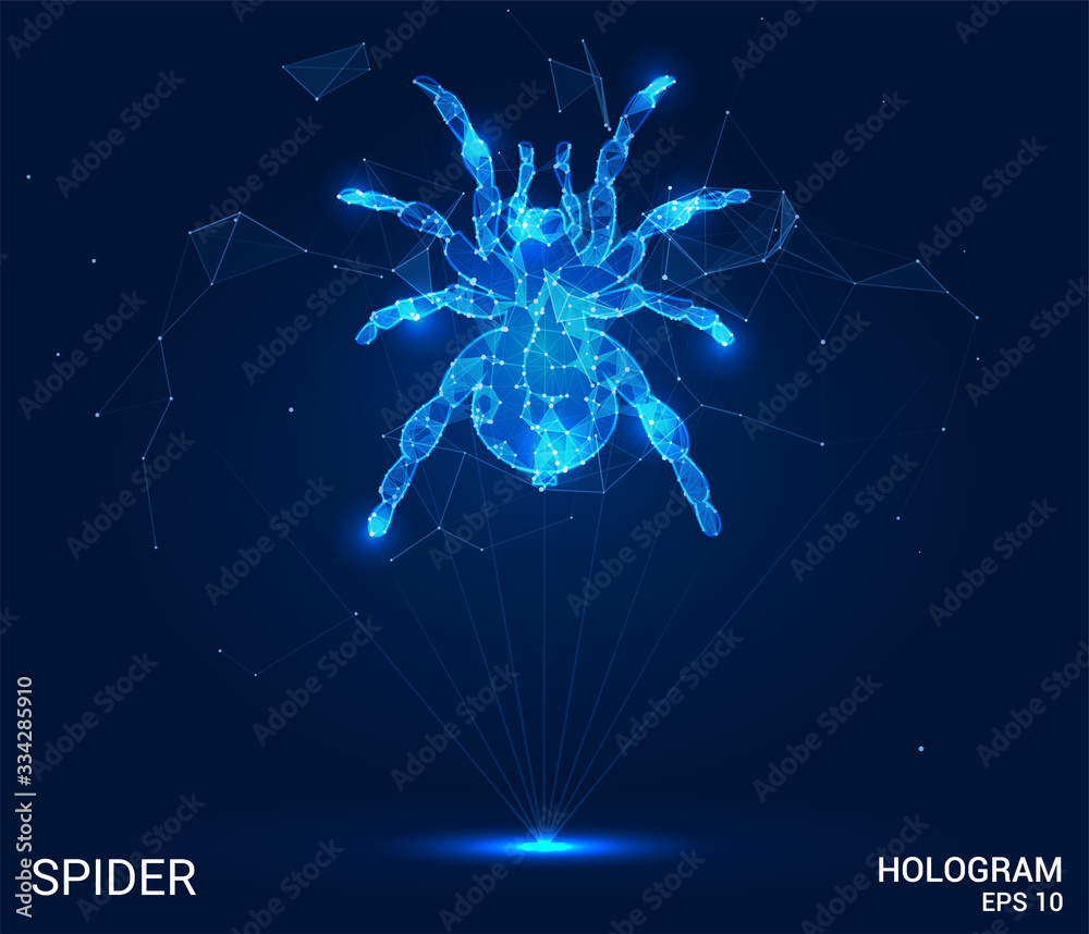 Spider hologram. A spider made of polygons, triangles of points and ...