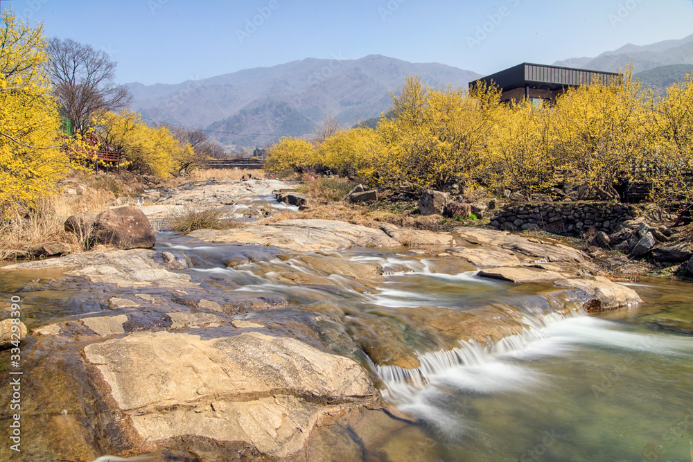 Foto de There are many cornelian cherry trees at the Gurye Sansuyou ...