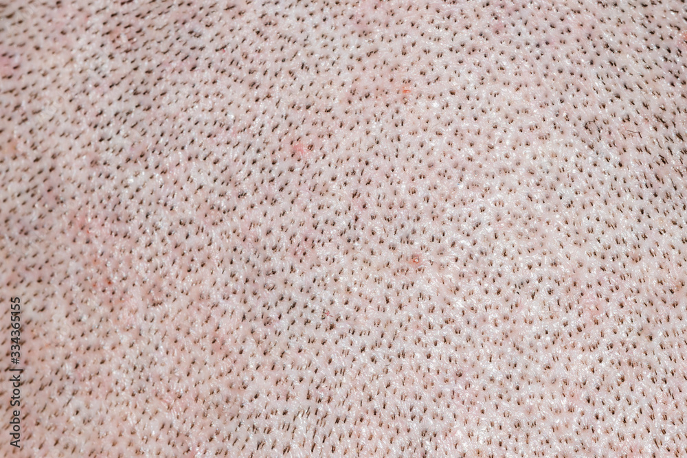 Seamless Short Hair Texture