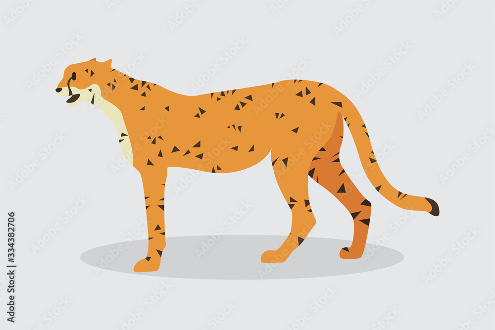 Cartoon cheetah. Cute Cartoon cheetah, Vector illustration on a white ...