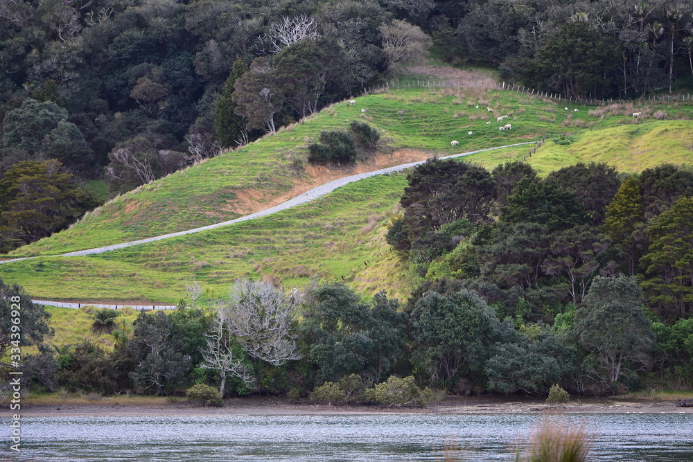 Steep slope of farmland land with areas of soil erosion and coastal ...