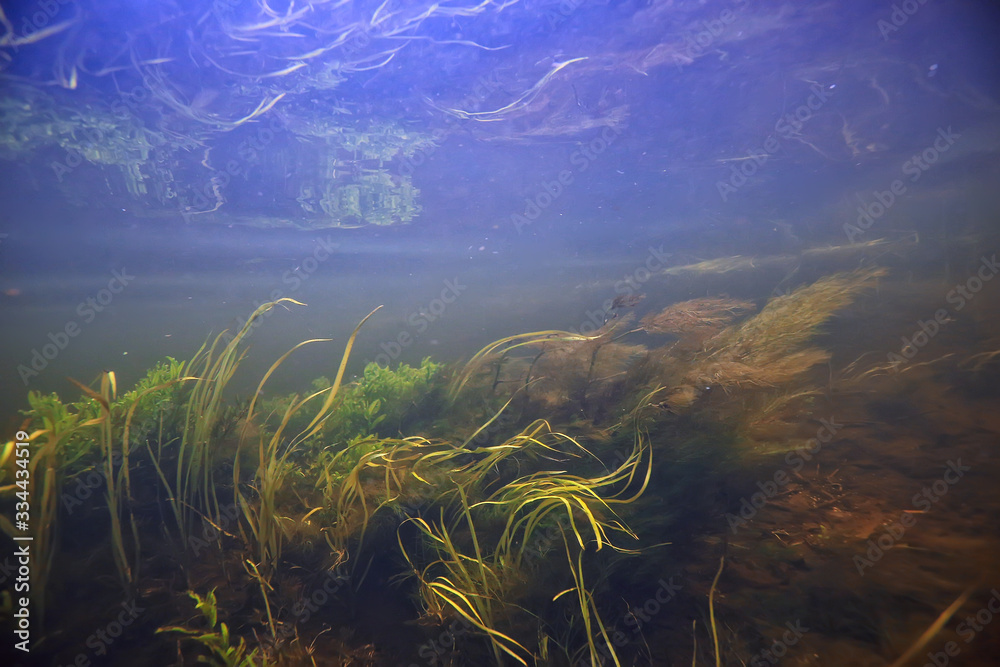 underwater mountain clear river / underwater photo in a freshwater ...
