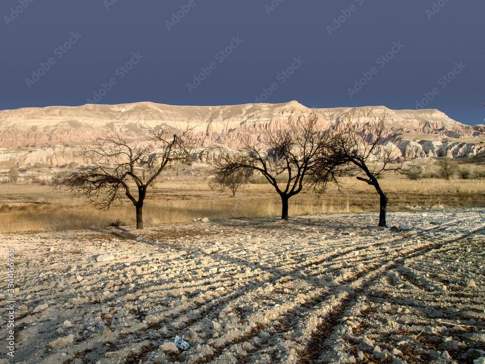 Lava stone colors the beautiful landscape of Cappadocia in Turkey with ...