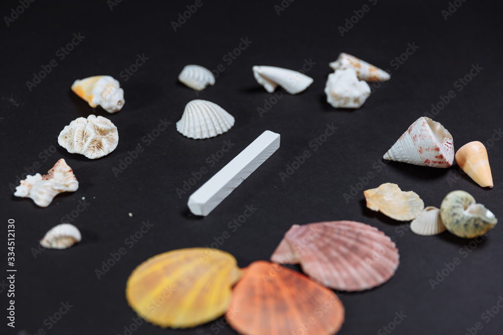 Paleontological exhibit for demonstration and teaching students showing ...