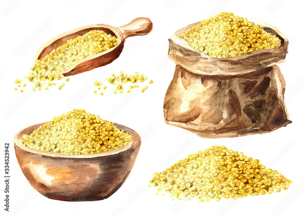 Dry millet grains set. Hand drawn watercolor illustration, isolated on ...