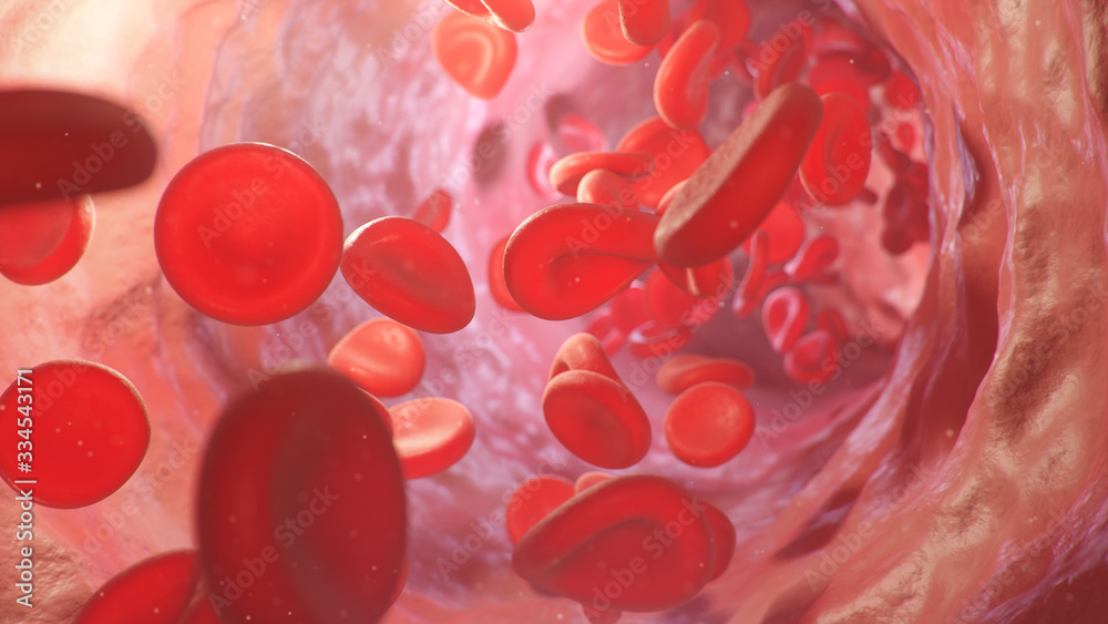 3d illustration of red blood cells inside an artery, vein. The flow of ...