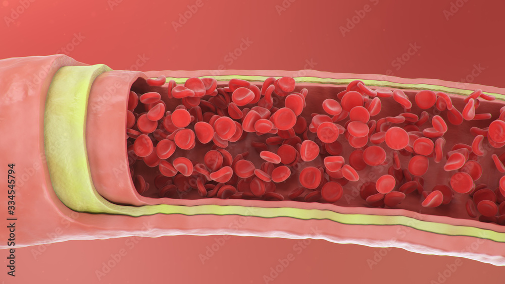 3d illustration of red blood cells inside an artery, vein. Healthy ...