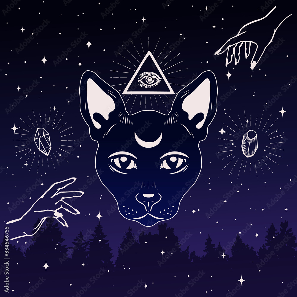 Magic cat face with moon on forehead in the night sky. Masonic eye in ...