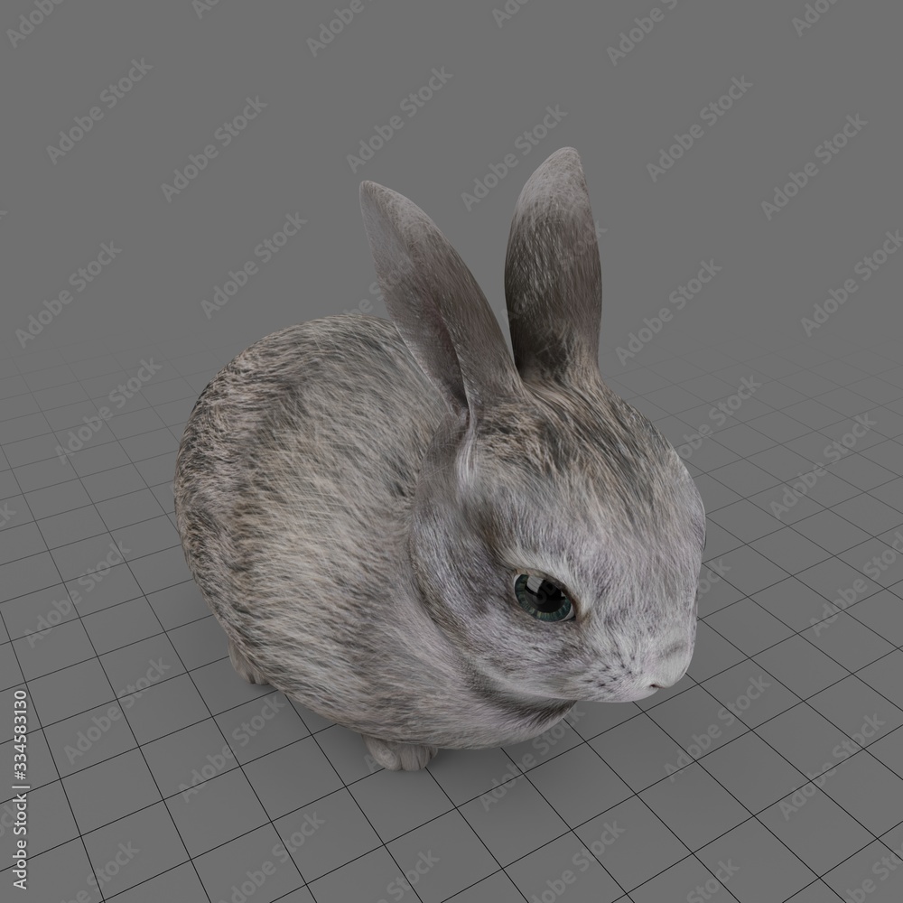Rabbit Stock 3D asset | Adobe Stock