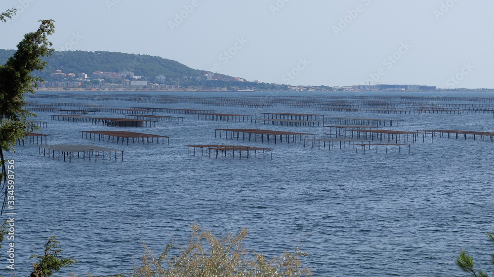 Fotografia do Stock: L'étang de Thau est le plus grand plan d'eau de la ...