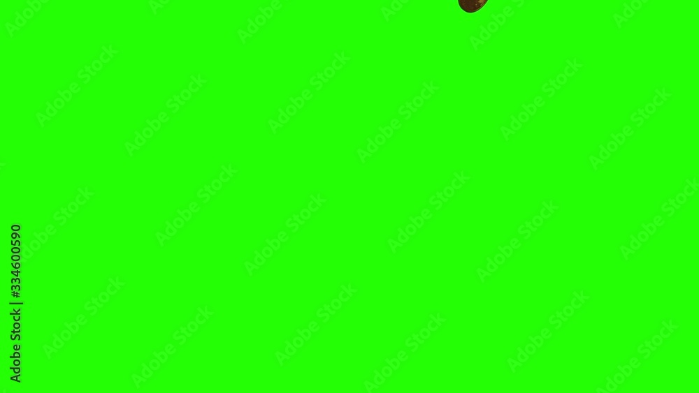 Group of golden coins animation green screen chroma key Stock Video ...