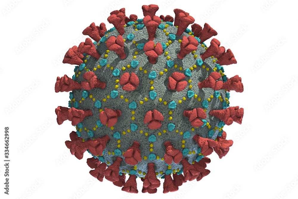 Pneumonia Virus Structure
