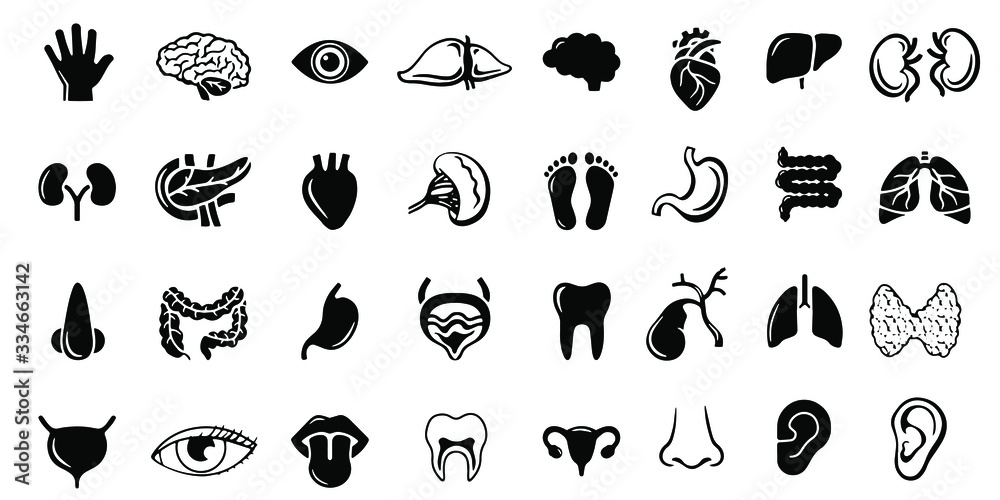Human Organs icon set symbols Vector Illustration Stock Vector | Adobe ...