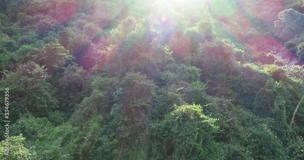 4k footage, aerial view, asia, beautiful, china, dense, environment ...