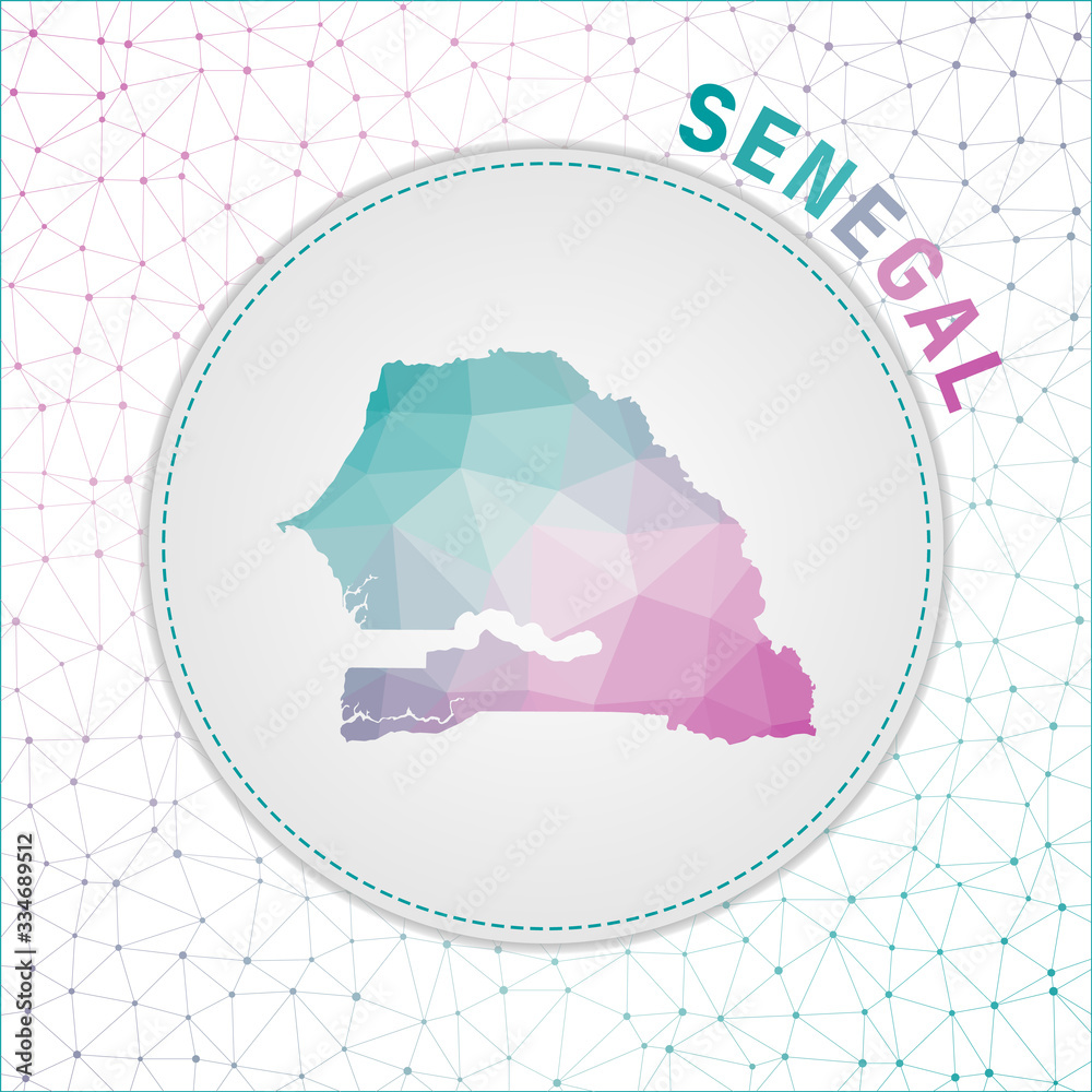 Vector polygonal Senegal map. Map of the country with network mesh ...
