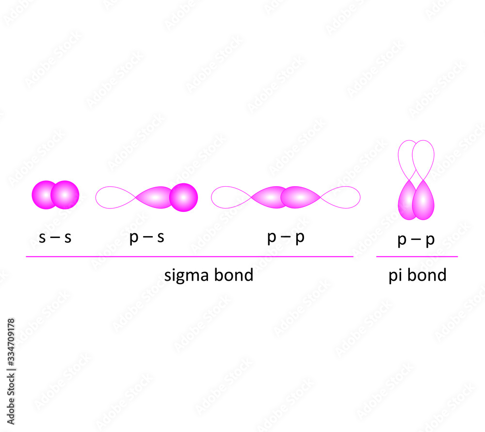 pi and sigma bond vector Stock Vector | Adobe Stock