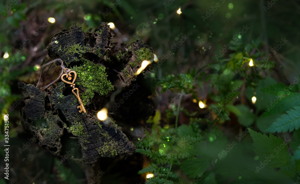 vintage golden keys on mysterious forest background. magical keys ...