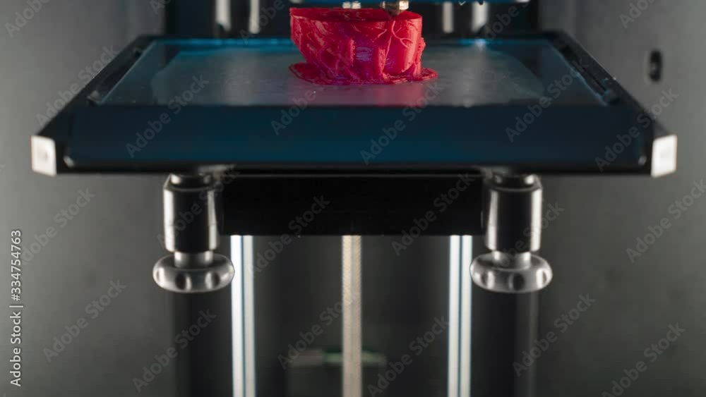 3d printer prints the model of heart, process of printing organs on a ...