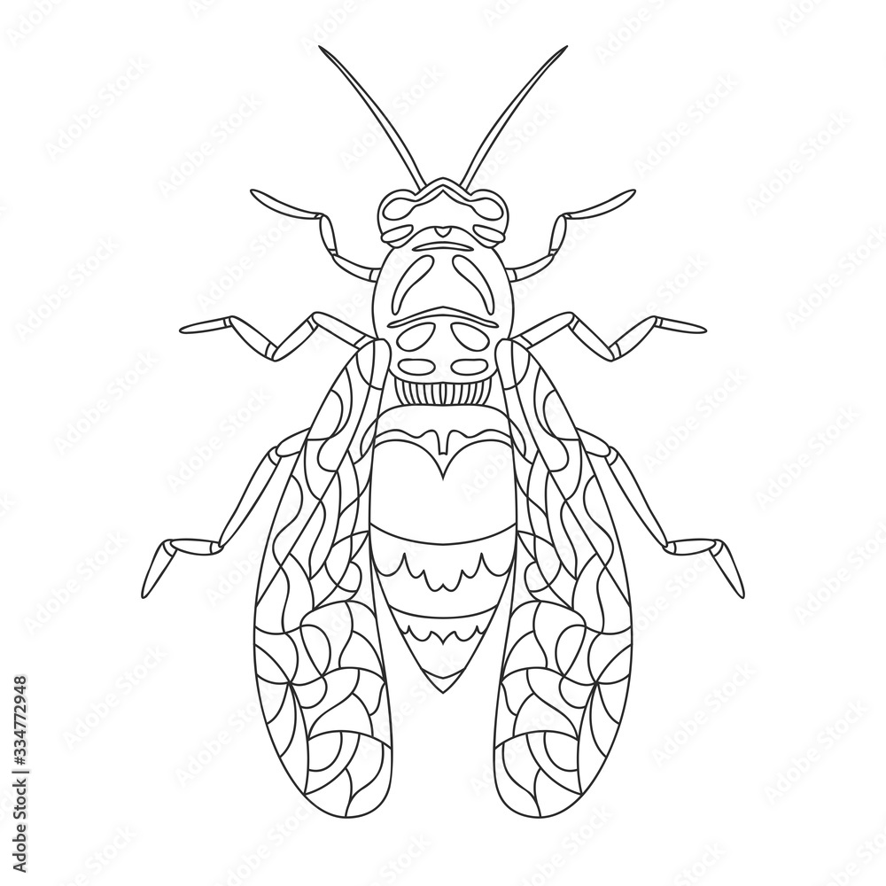 Wasp bee outline realistic. Vector graphic illustration. Summer vector ...