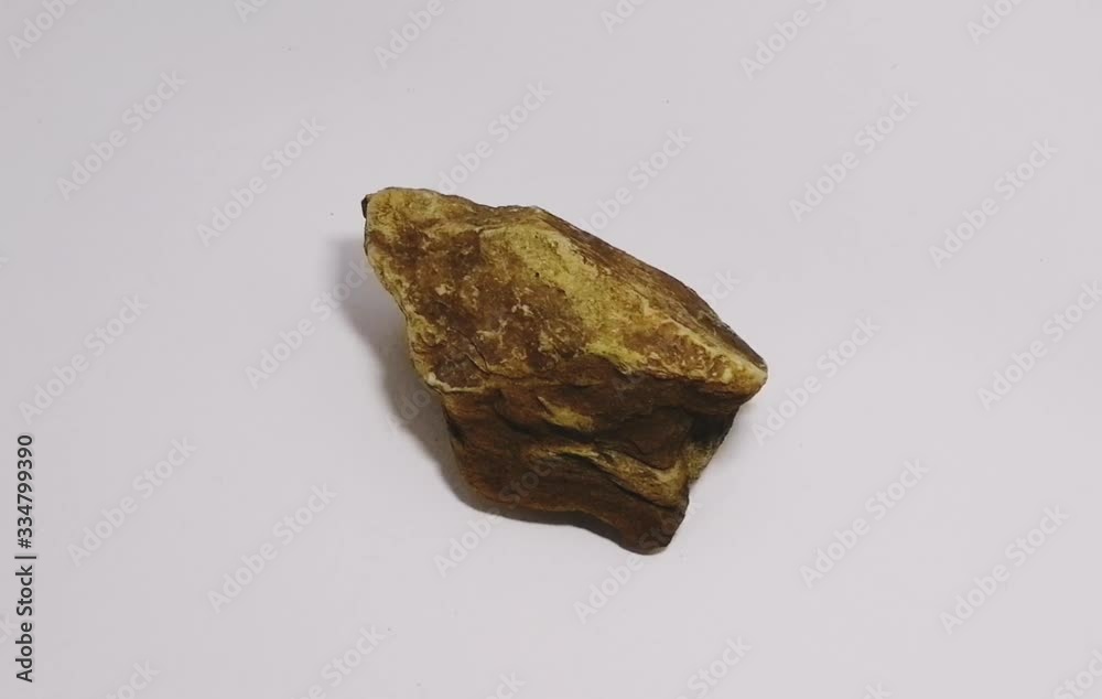 Shale specimen on white background. Shale is a fine-grained, clastic ...