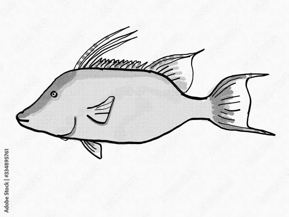 Hogfish Reef and Wreck Fish Florida and Gulf of Mexico Cartoon Retro ...