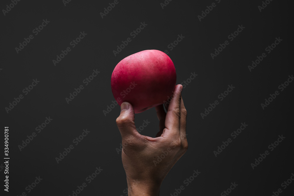 One hand holding an apple with spotlight effect and isolated dark grey ...