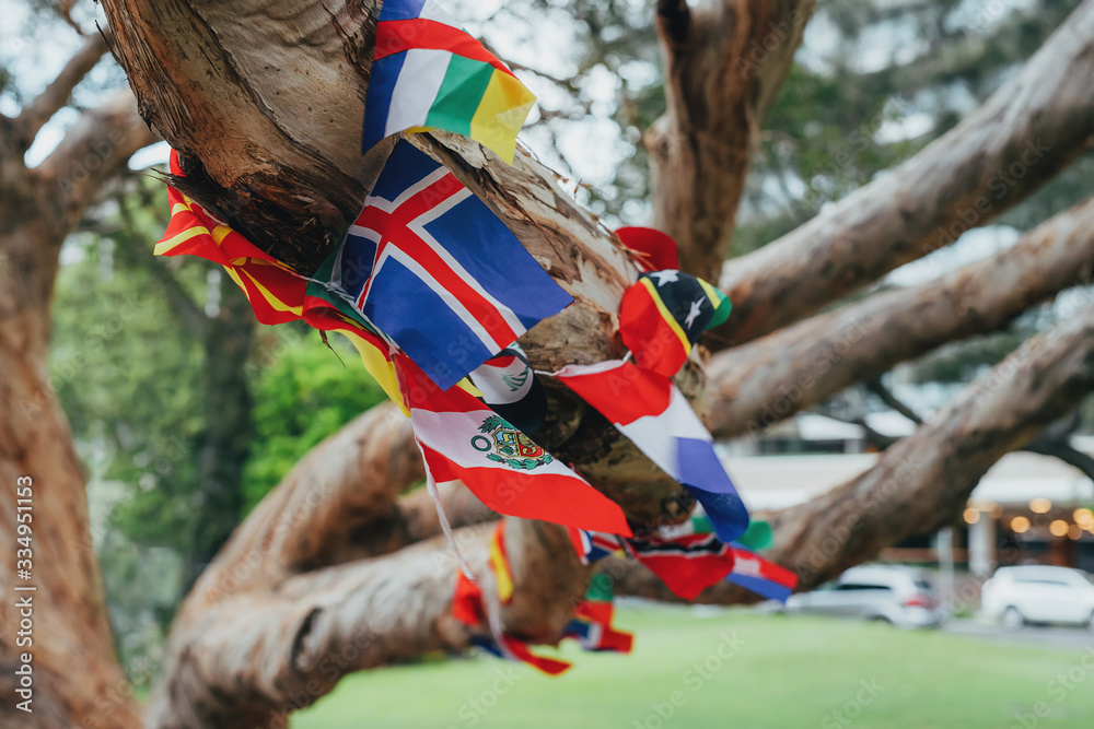 Flags of different countries in the tree. Multicultural network ...