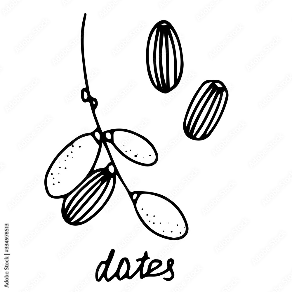 Hand drawn vector isolated food icon. Black outline illustration of ...