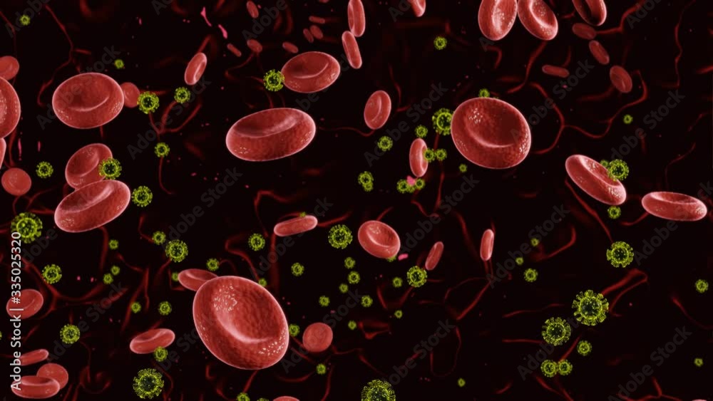 covid corona virus with red blood cells floating 3d cgi render animation Stock Video | Adobe Stock