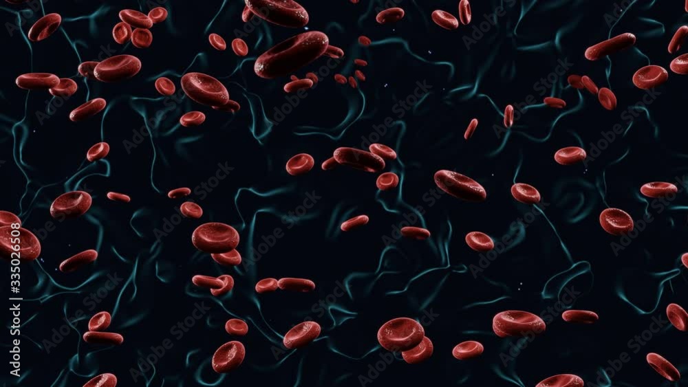 red blood cells floating in the vein 3d cgi animation vídeo de Stock | Adobe Stock