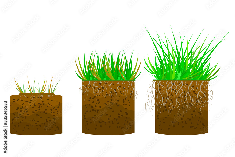 Set of grass with a ground isolated on white background. Dirt layers ...