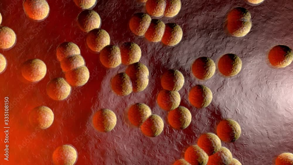 3D Animation Growing Fat in form of Adipocytes aka Fat cells in human ...