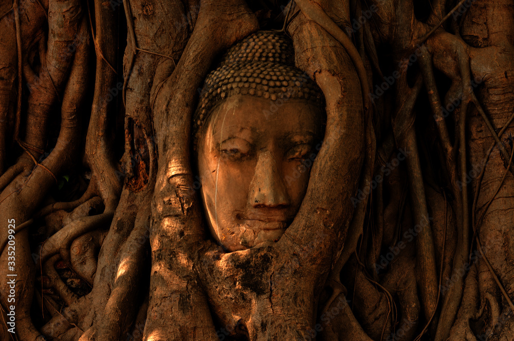 Ancient Lord Buddha face of Wat Mahathat , Ayutthaya,Thailand Stock ...
