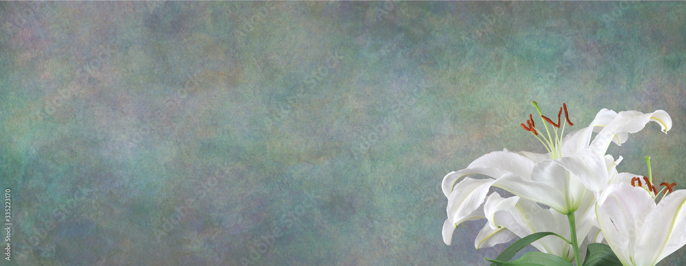 Funeral Wake Order of Service Lily Background - white lily head in ...