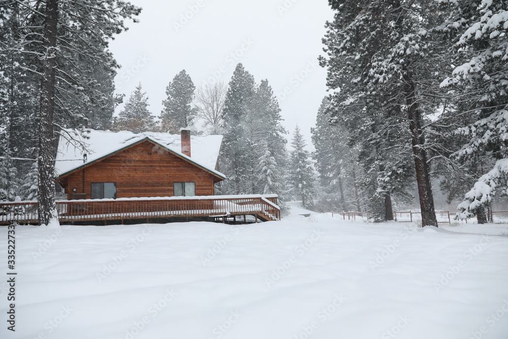 WInter snowy cabin house exterior with forest and pine trees and snow ...