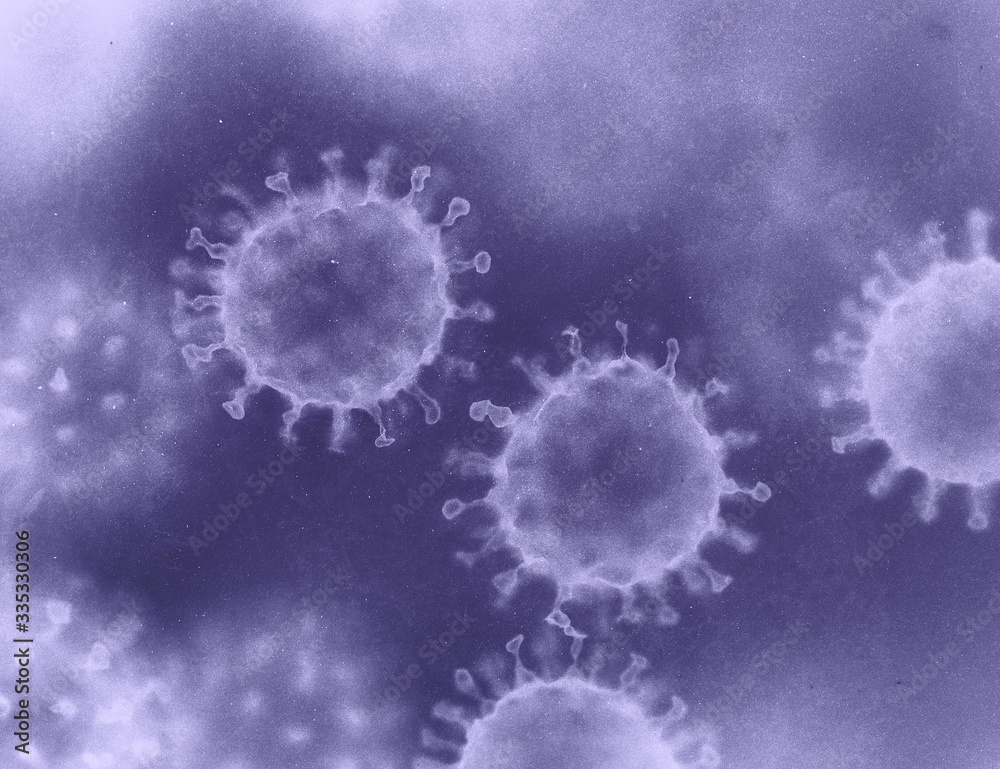 Viral structure. Viral particle is made up of a nucleus of nucleic acid ...