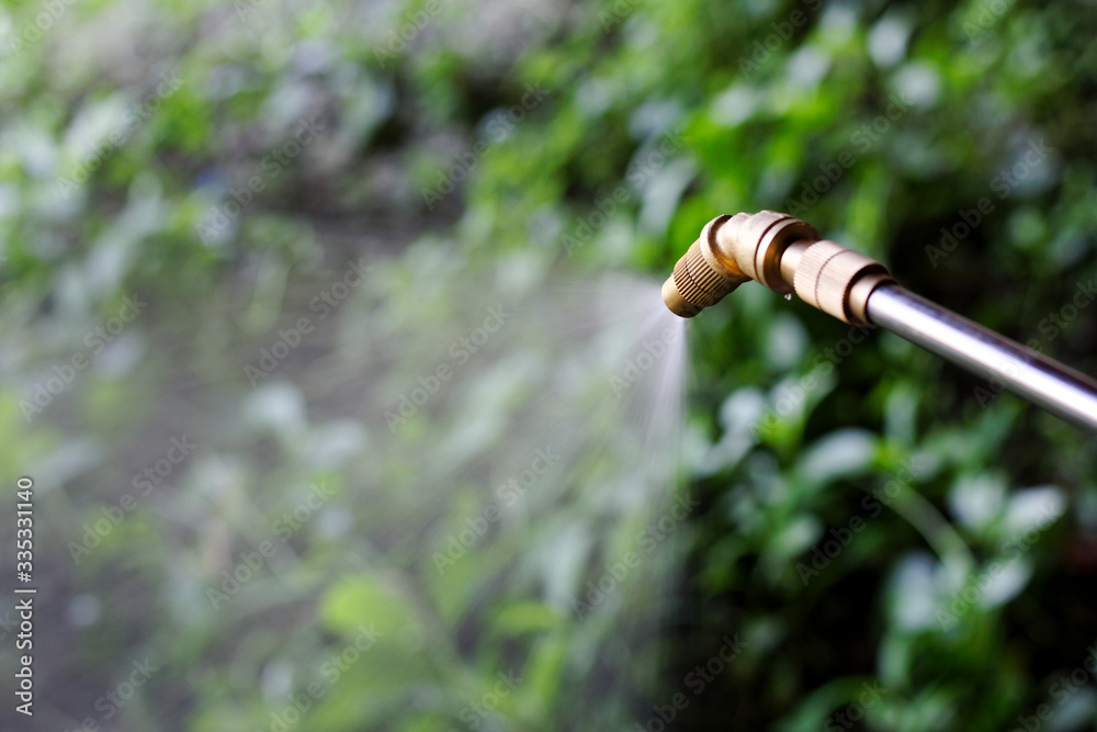 Poster Spraying herbicide from the nozzle to Para Grass weeds – Wall ...