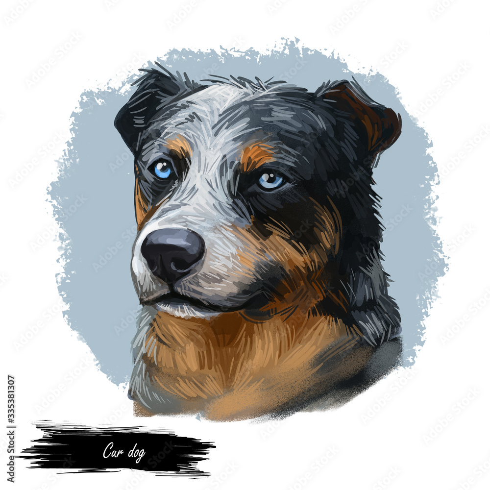 Cur dog isolated digital art ilustration hand drawn portrait. Pariah ...