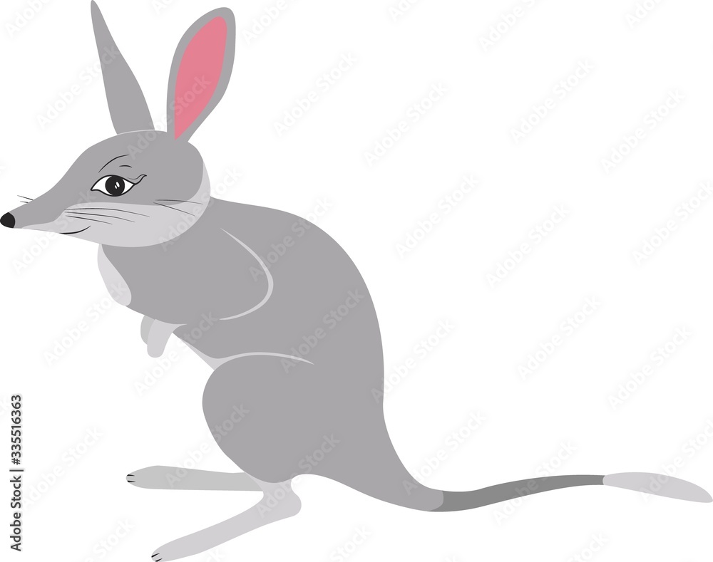 Vector illustration of bilby in cartoon simple flat style isolated on ...