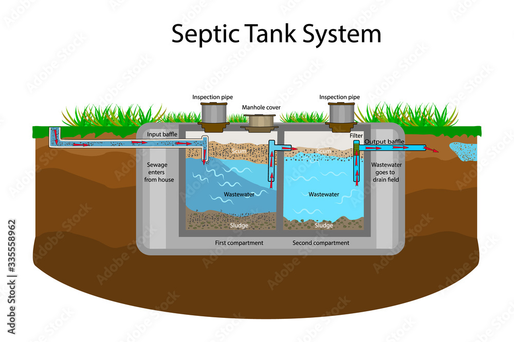 Septic Tank diagram. Septic system and drain field scheme. An ...