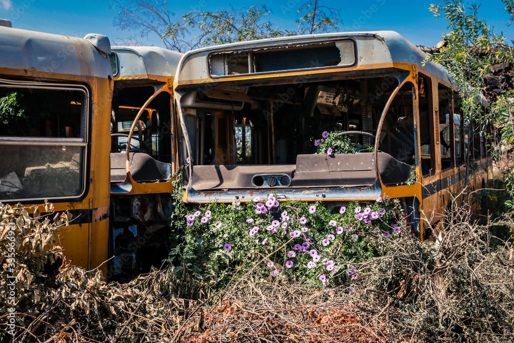 Destroyed Buses on the Tank Graveyard in Asmara, Eritrea Stock Photo ...