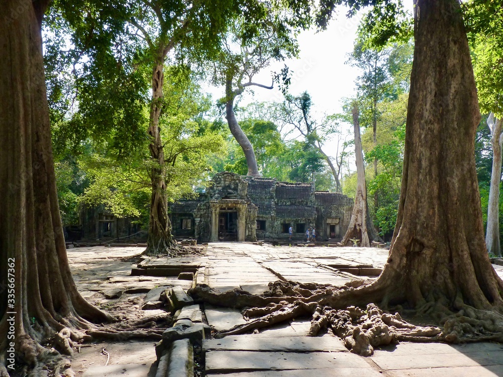 Ruins of Angkor, temple of Ta Prohm with tree roots, Angkor Wat ...