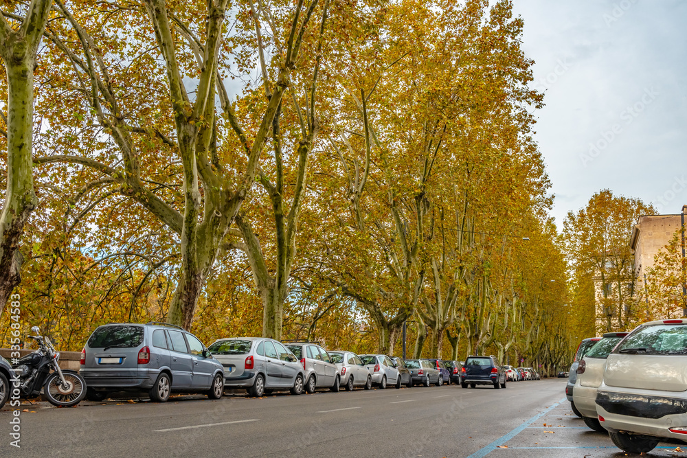 Rome, Italy. Parked cars and beautiful lush tall trees along sidewalk ...