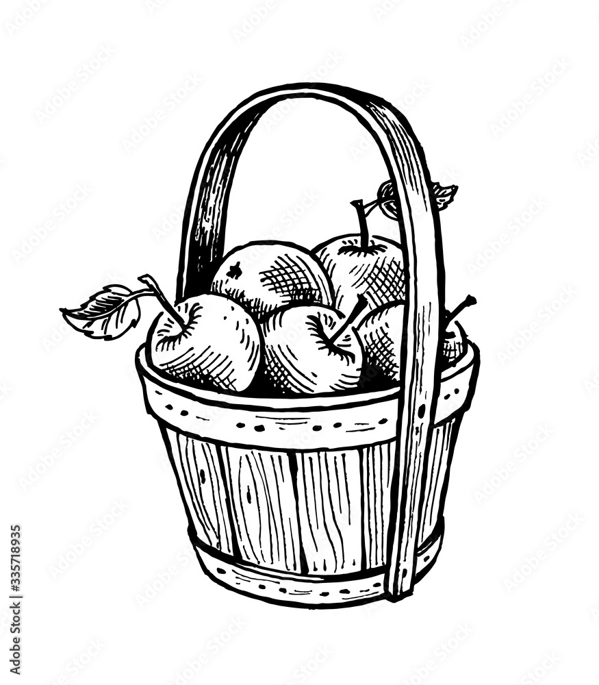 Basket of apples, vector images. Vector graphics for labels, menus ...