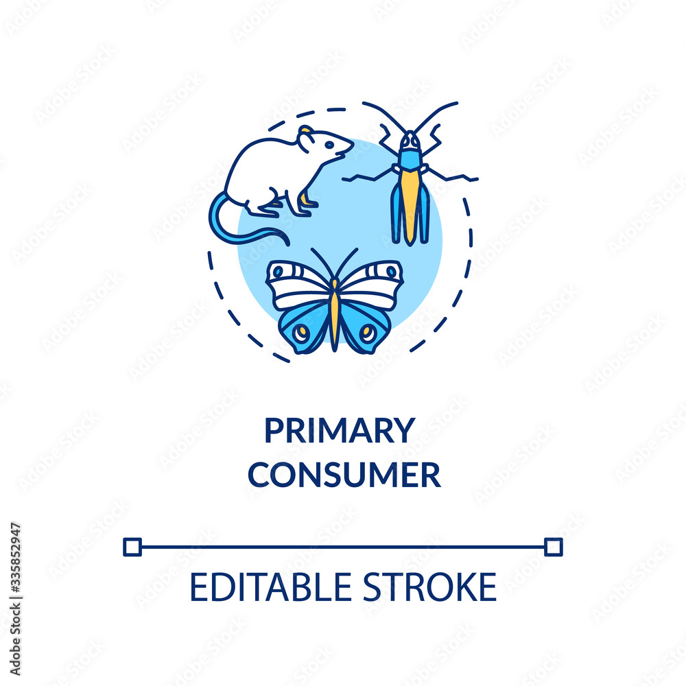 Primary consumer concept icon. Grazing food chain link. Herbivores and ...