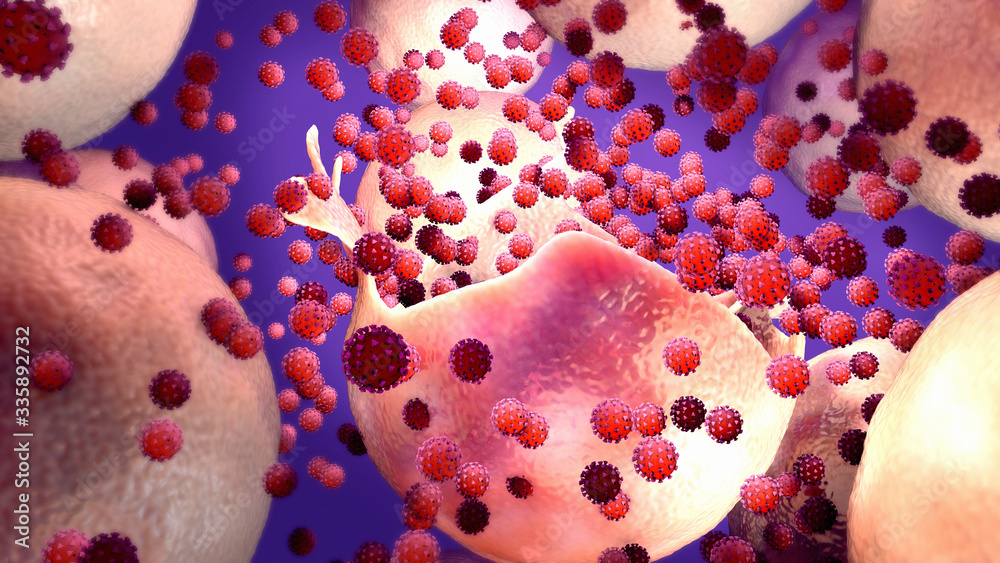 Virus multiplication, Viral replication infection process in the target ...